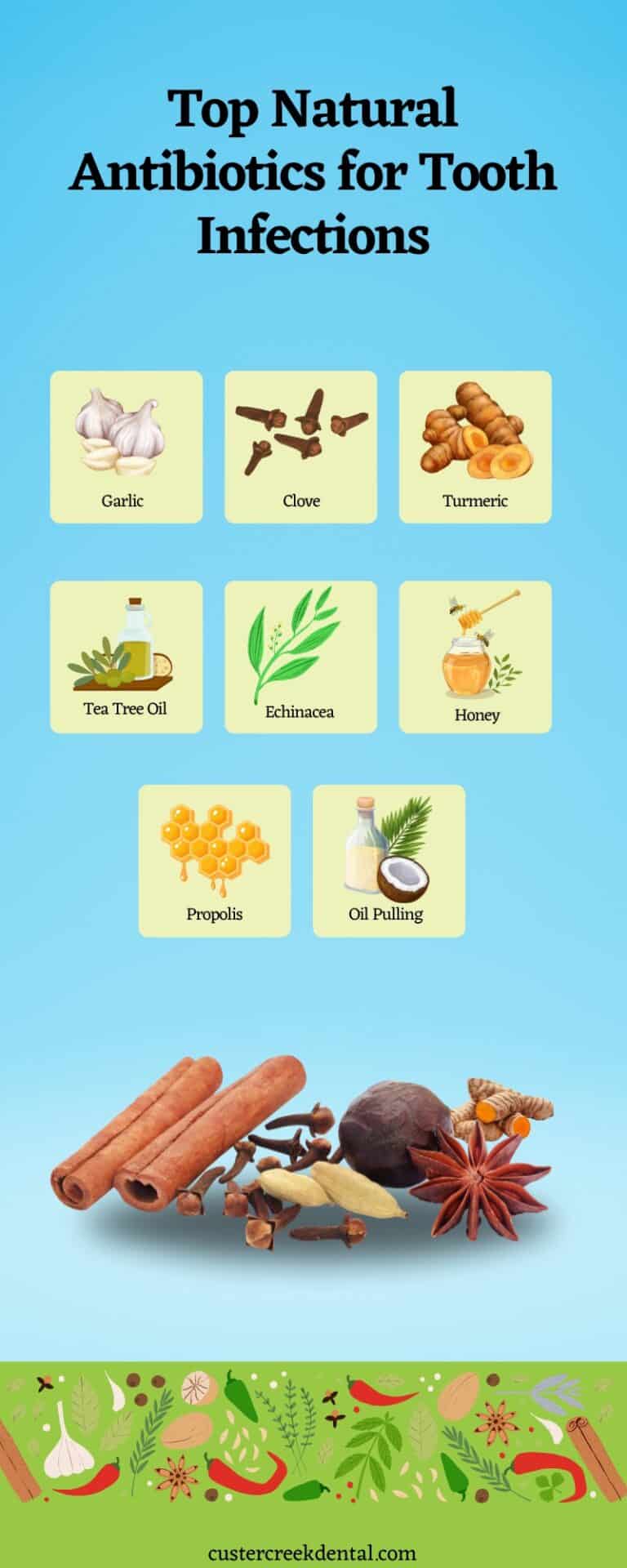 What Is The Strongest Natural Antibiotic For Tooth Infections